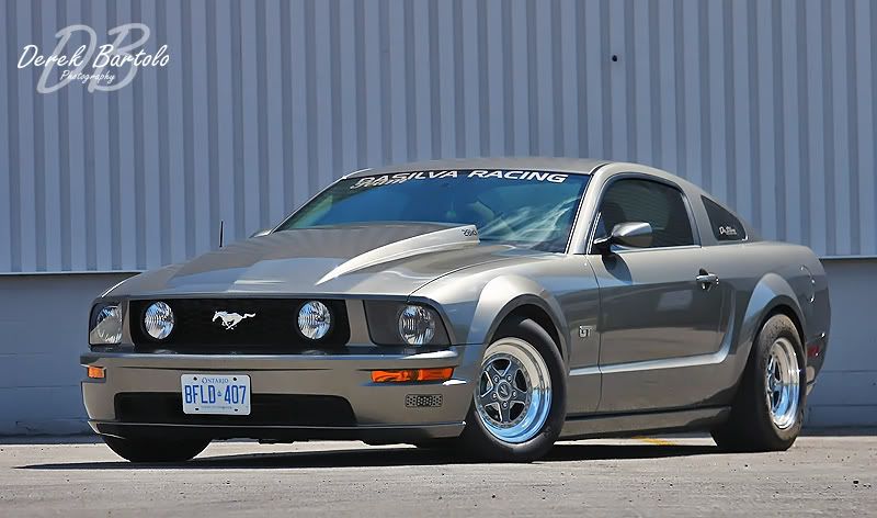 December 2009 Car Of The Month: Matt D | S197 Mustang Forum - S197Forum.com