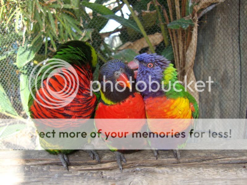 Dedicated in memory of Dana Rea......FAMILY,FUN and FISHING!