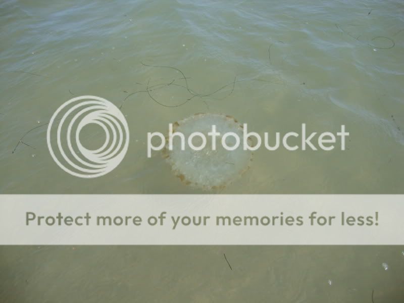 Dedicated in memory of Dana Rea......FAMILY,FUN and FISHING!