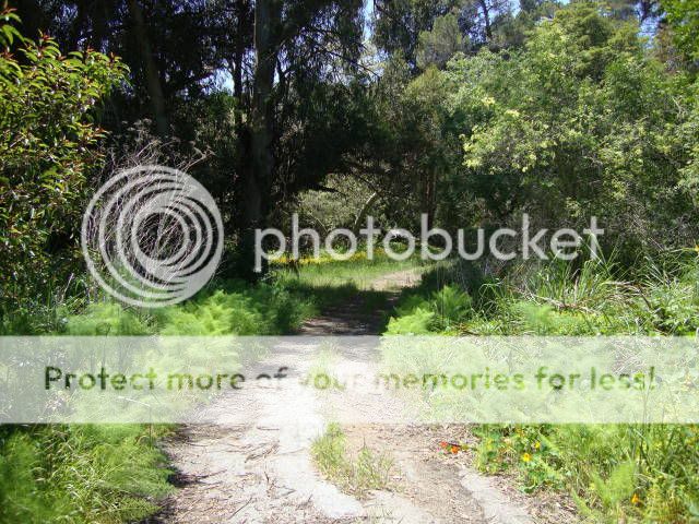 Dedicated in memory of Dana Rea......FAMILY,FUN and FISHING!