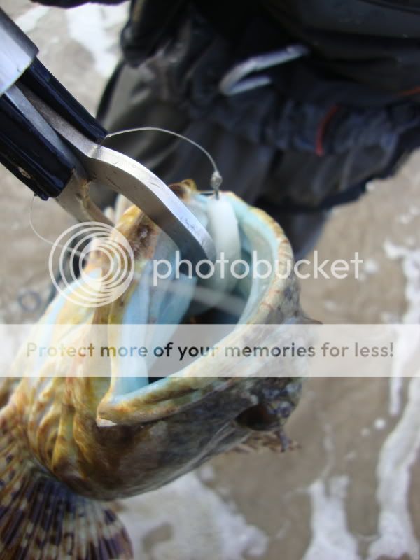 Dedicated in memory of Dana Rea......FAMILY,FUN and FISHING!