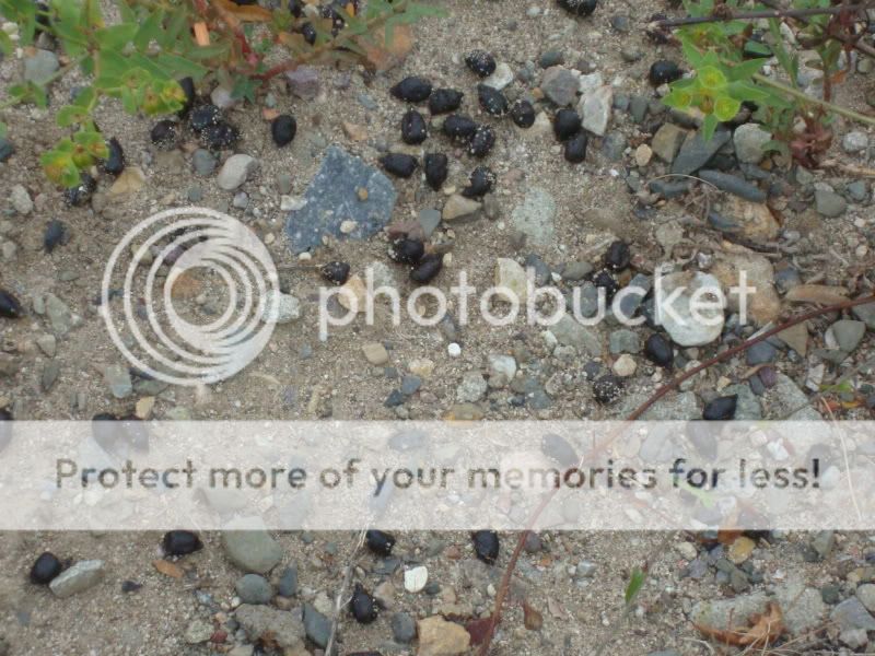 Dedicated in memory of Dana Rea......FAMILY,FUN and FISHING!