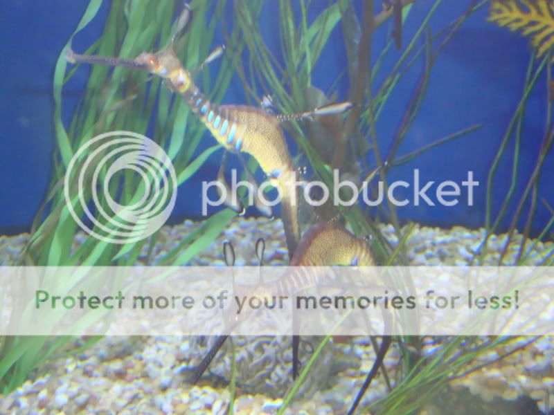 Dedicated in memory of Dana Rea......FAMILY,FUN and FISHING!