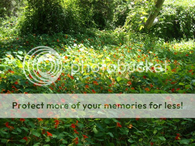 Dedicated in memory of Dana Rea......FAMILY,FUN and FISHING!