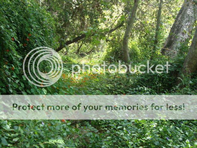 Dedicated in memory of Dana Rea......FAMILY,FUN and FISHING!