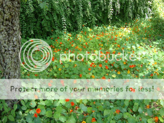 Dedicated in memory of Dana Rea......FAMILY,FUN and FISHING!