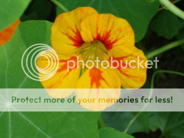 Dedicated in memory of Dana Rea......FAMILY,FUN and FISHING!