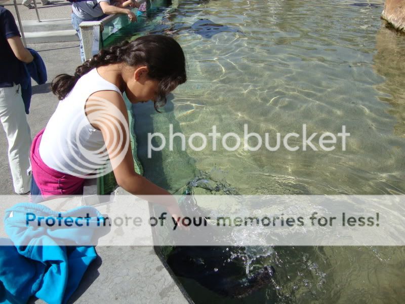 Dedicated in memory of Dana Rea......FAMILY,FUN and FISHING!