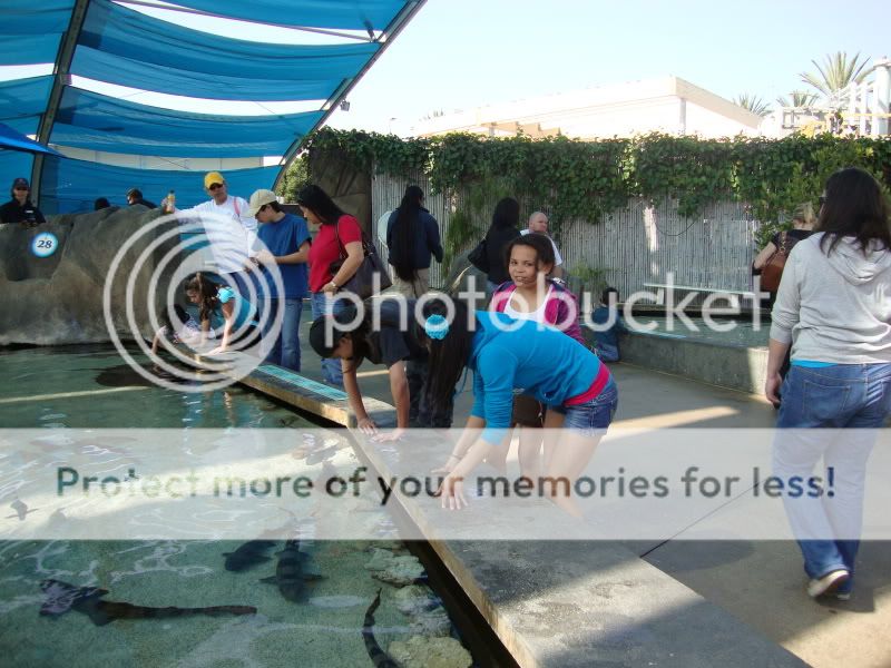 Dedicated in memory of Dana Rea......FAMILY,FUN and FISHING!