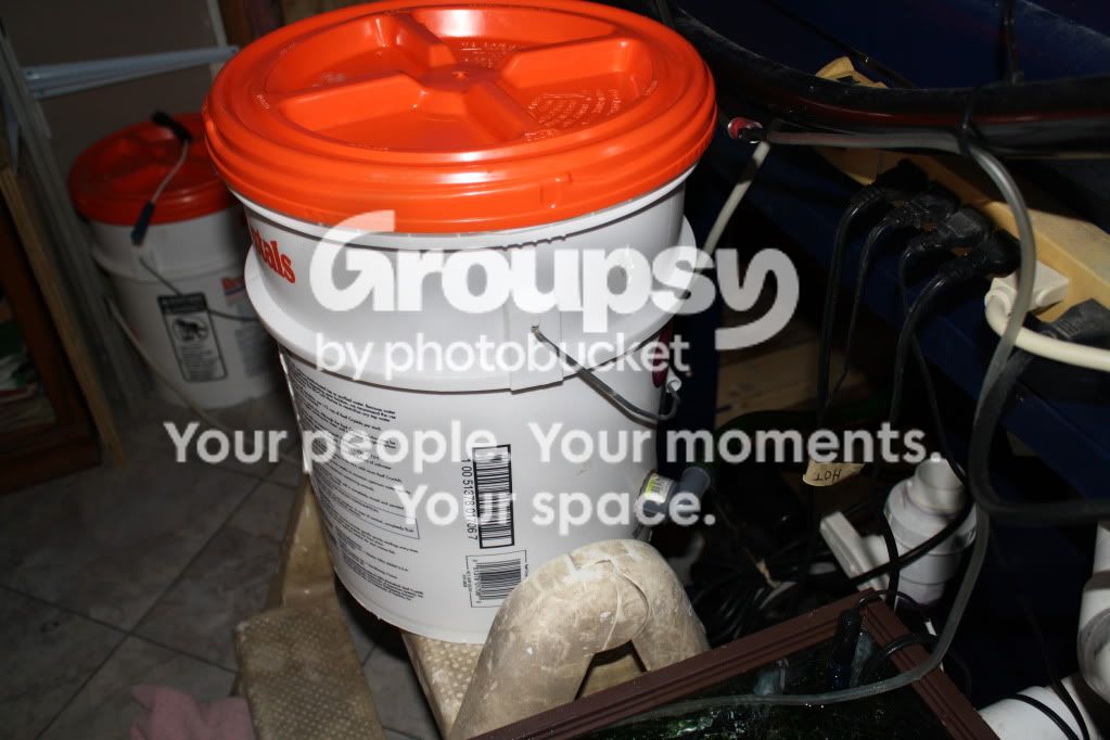 My quick and easy Kalk drip bucket | Reef2Reef