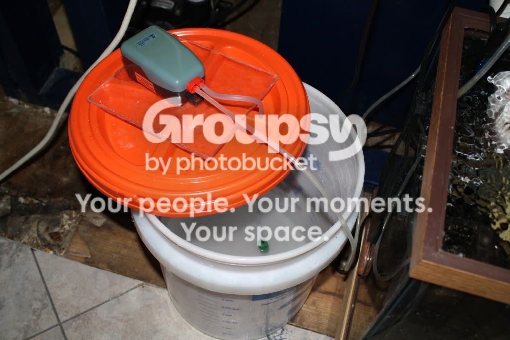 My quick and easy Kalk drip bucket | Reef2Reef