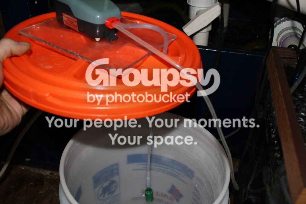 My quick and easy Kalk drip bucket | Reef2Reef