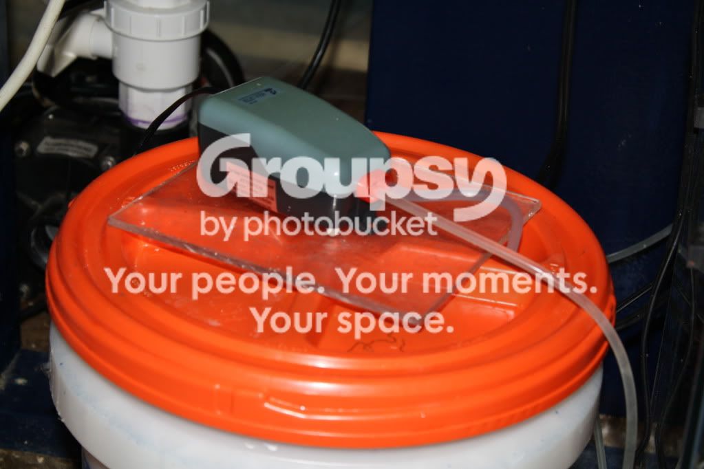 My quick and easy Kalk drip bucket | Reef2Reef